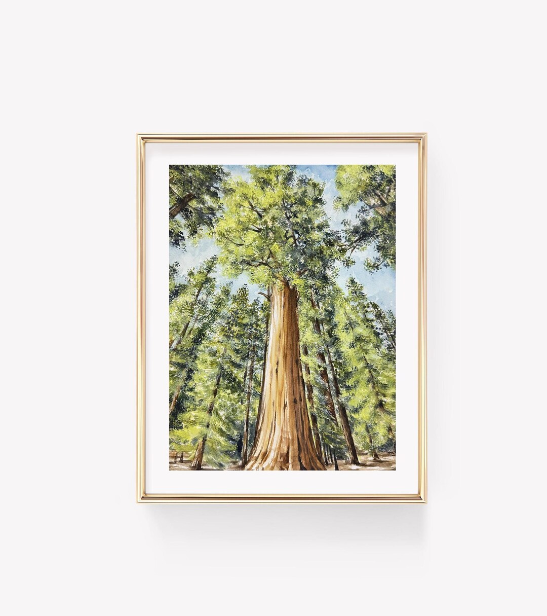 Sequoia National Park Watercolor Print. Giant Sequoia Art. Forest Art ...