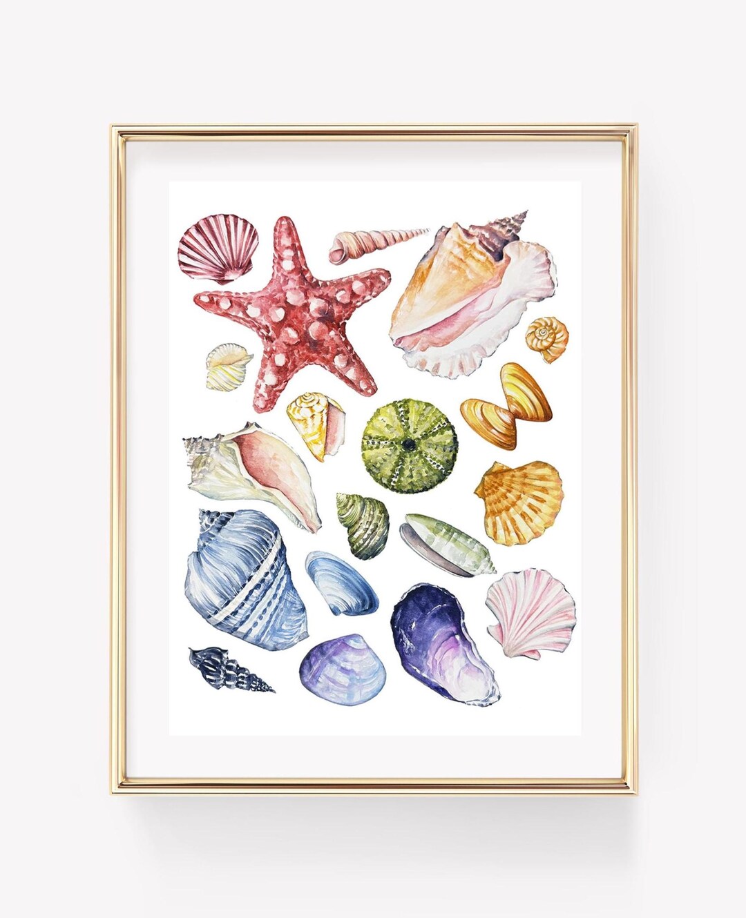 Rainbow Seashells Watercolor. Shells Wall Art. Nautical Decor. Beach ...