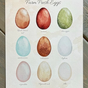 Chicken Egg Colors Watercolor Art. Farmhouse Decor. Farmhouse Wall Art ...