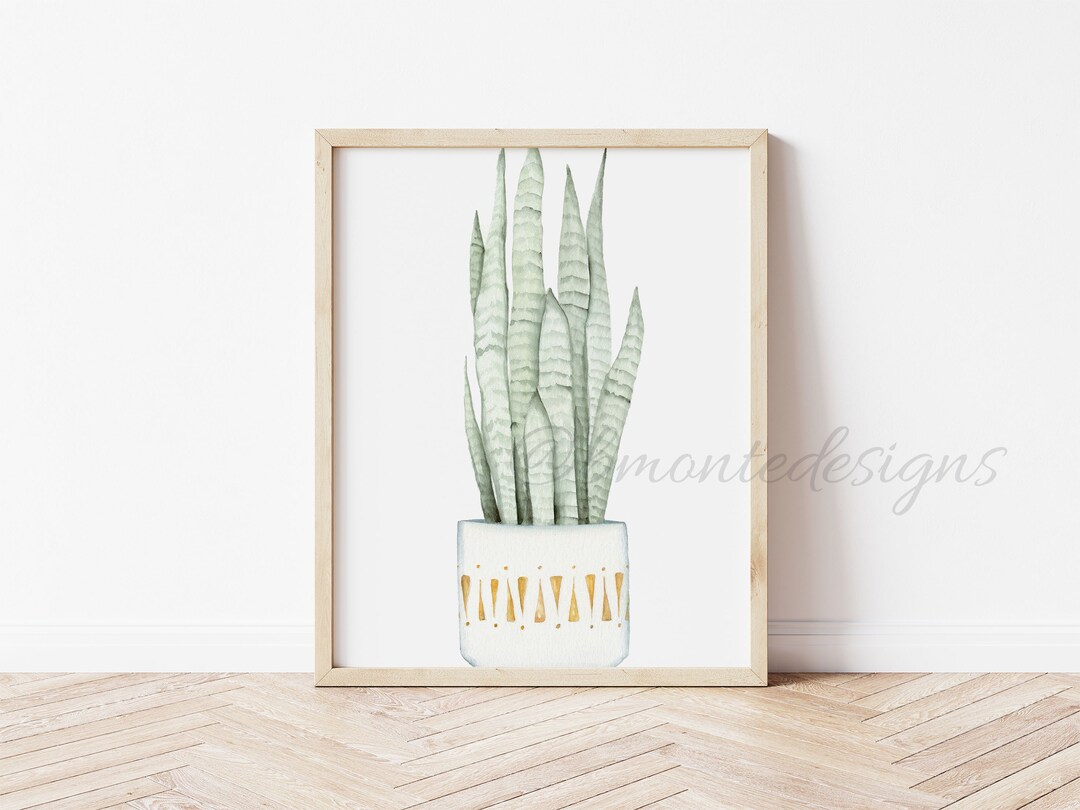 Watercolor Snake Plant Print. - Etsy