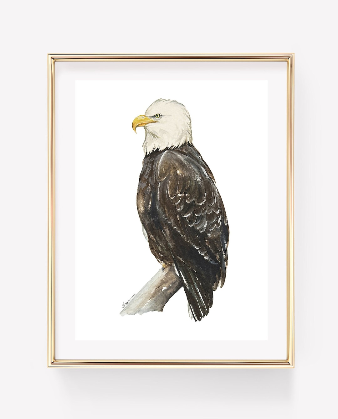 Bald Eagle Watercolor Print. Bald Eagle Art. Bird Watercolor Art. Bald ...