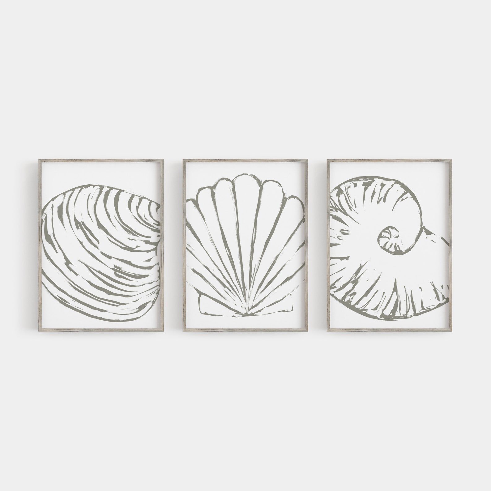 Shell Set Seashell Artwork Modern Minimalist Coastal Decor - Etsy