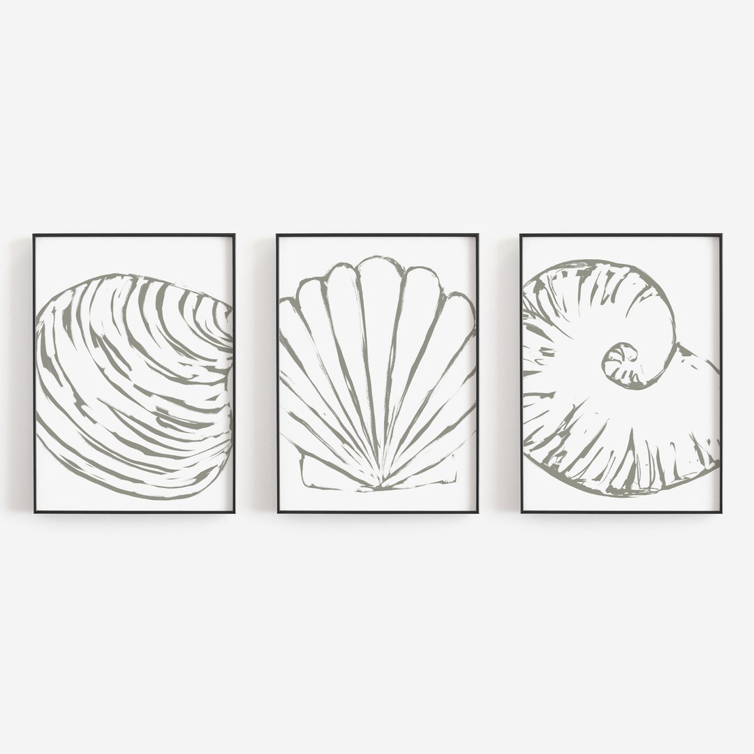 Shell Set Seashell Artwork | Modern Coastal Decor Beach House Triptych ...