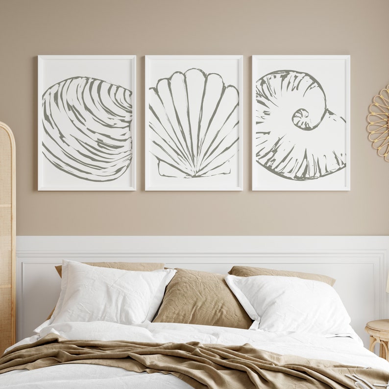 Shell Set Seashell Artwork Modern Minimalist Coastal Decor - Etsy