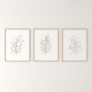 Eucalyptus Print Silver Dollar Plant Botanical Line Modern - Etsy