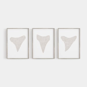 Shark Tooth Decor Modern Coastal Home Decor Beach Nursery Triptych ...