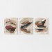 Abstract Neutral Fall Paintings | Warm Tone Minimalist Wall Art ...