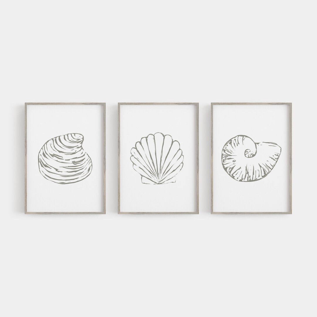 Seashell Set Modern Coastal Decor Beach House Sea Shell Triptych ...