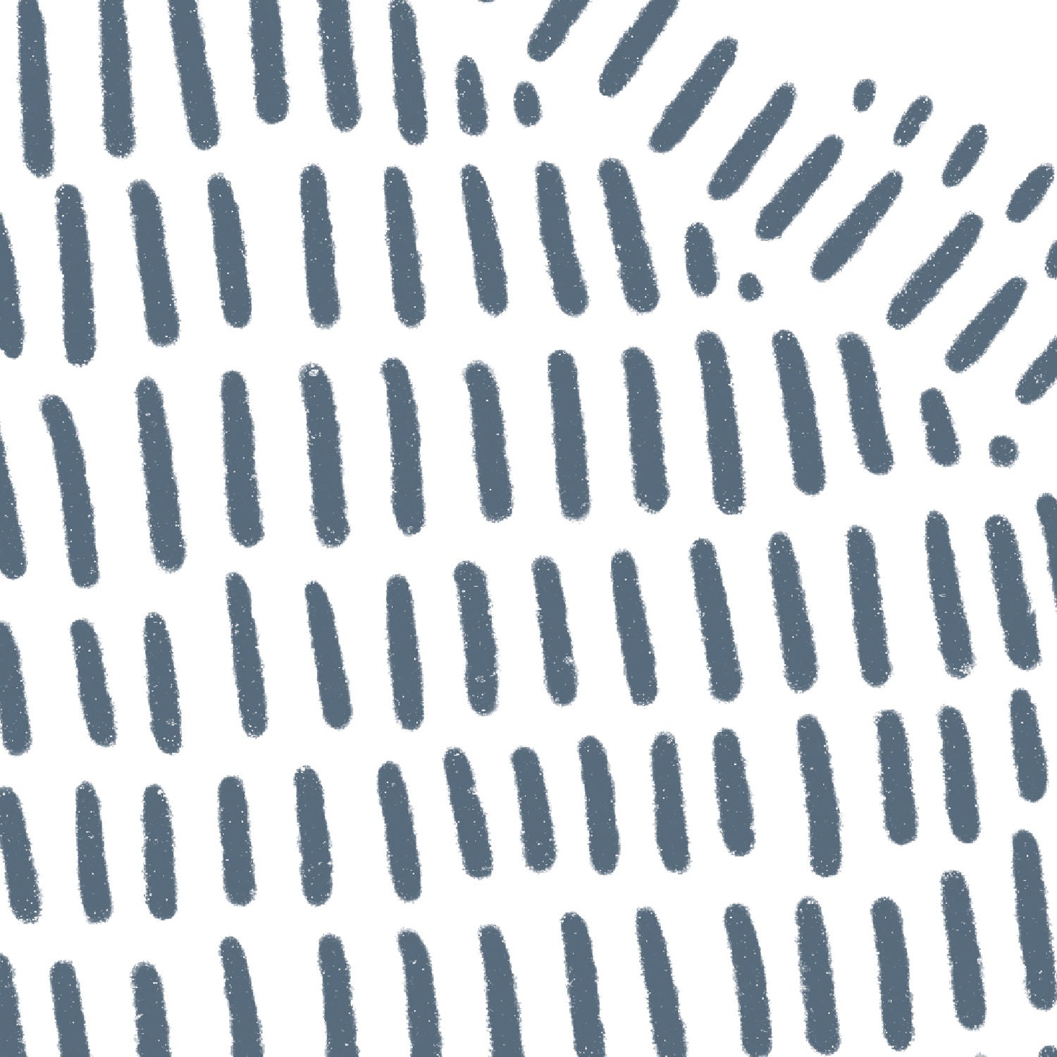 Permit Fish Print Set Beach House Ocean Coastal Home Decor | Etsy