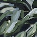 Dark Botanical Art Black Plant Painting Modern Apartment Decor - Etsy