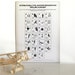 ICAO Spelling Alphabet Digitaler A3 Druck –NATO Phonetisches Alphabet ...