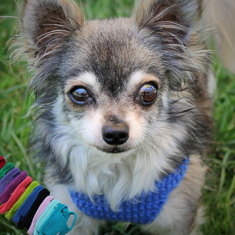 Puppy Boho Harness - Etsy