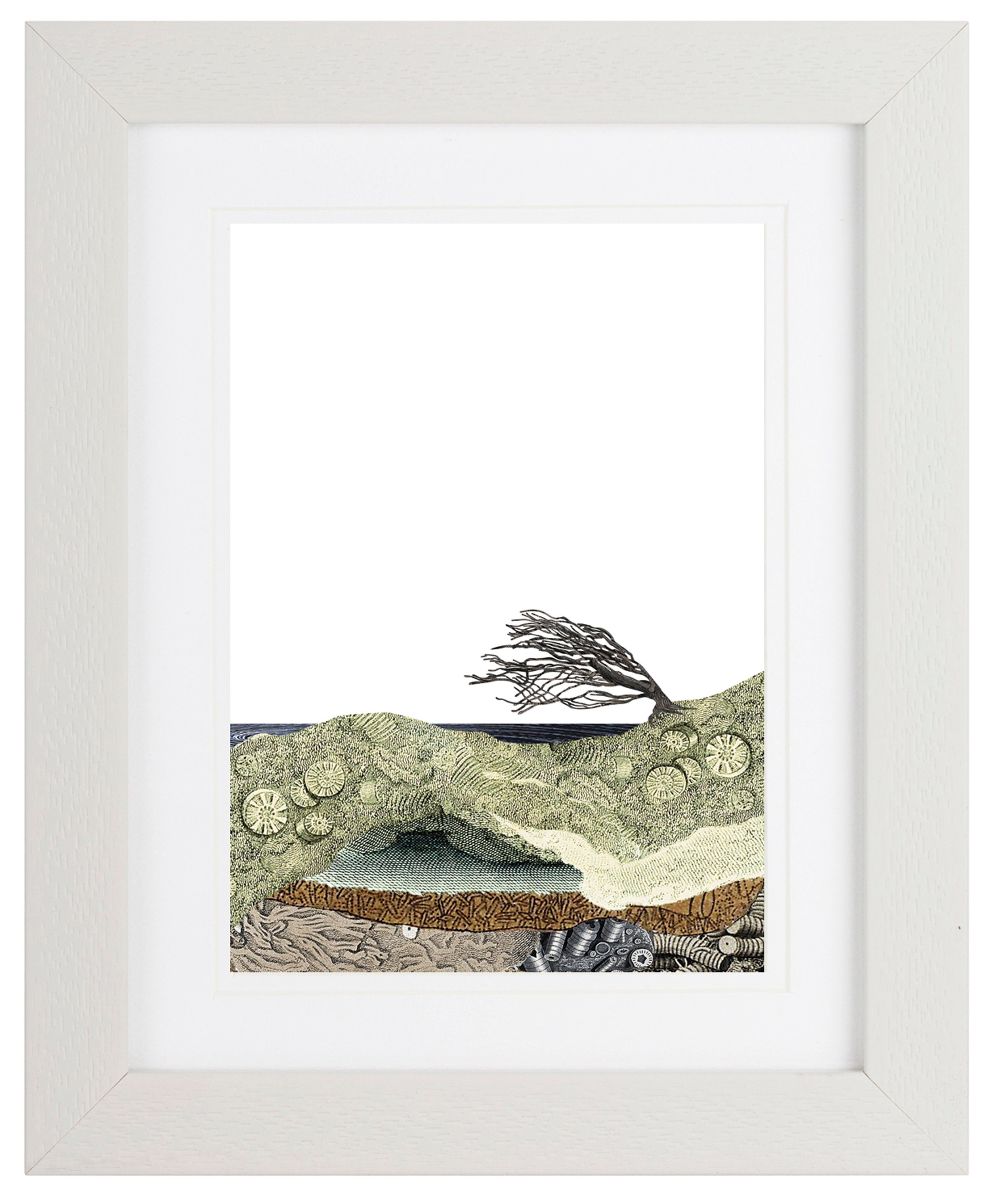 Fossil Collage: North Hill Minehead Prints/cards - Etsy