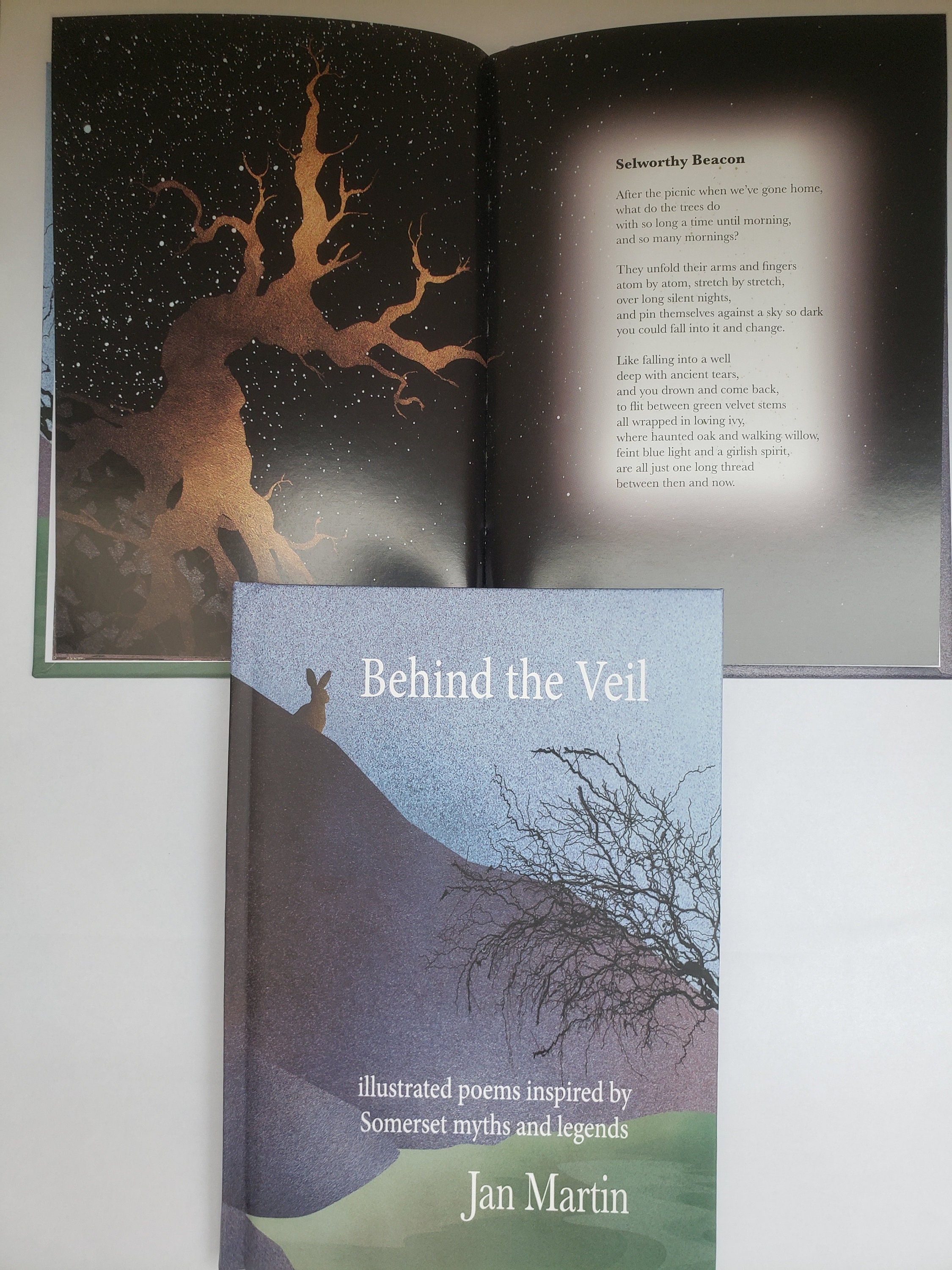 Illustrated Book of Haunting Poems - Etsy