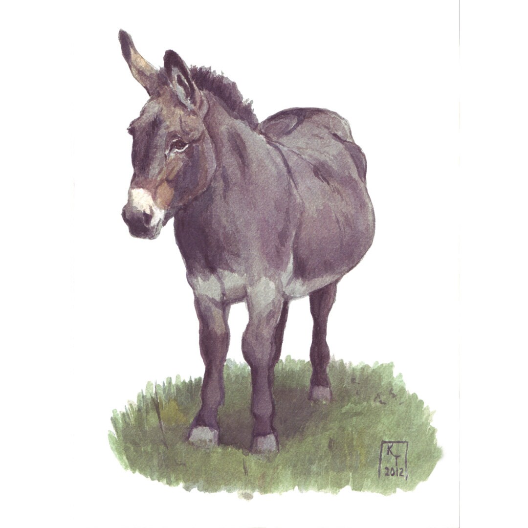Donkey Illustrated Greetings Card/ Farm Animal Art Greetings Card - Etsy