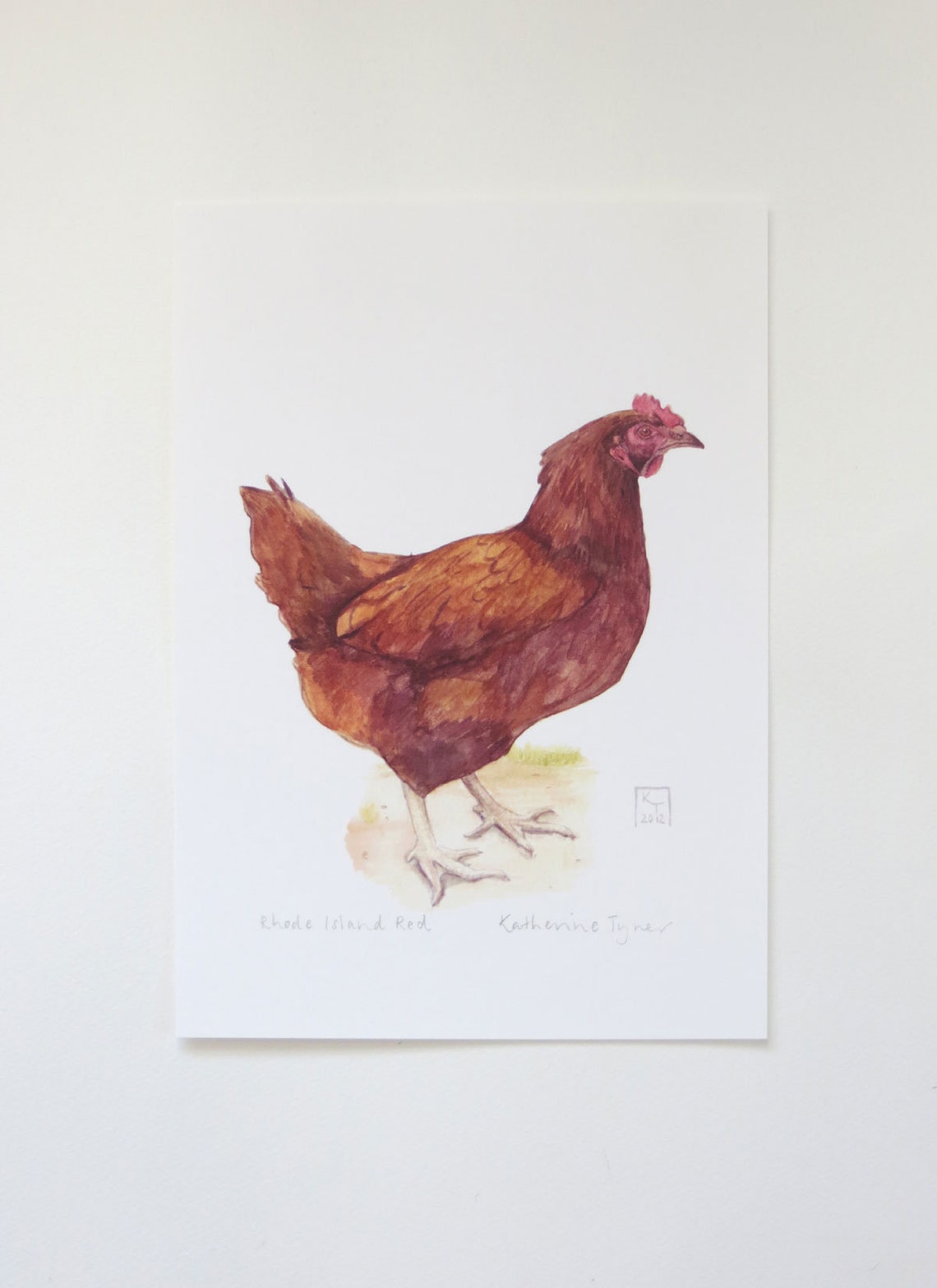 Chicken Fine Art Print Wall Art - Etsy