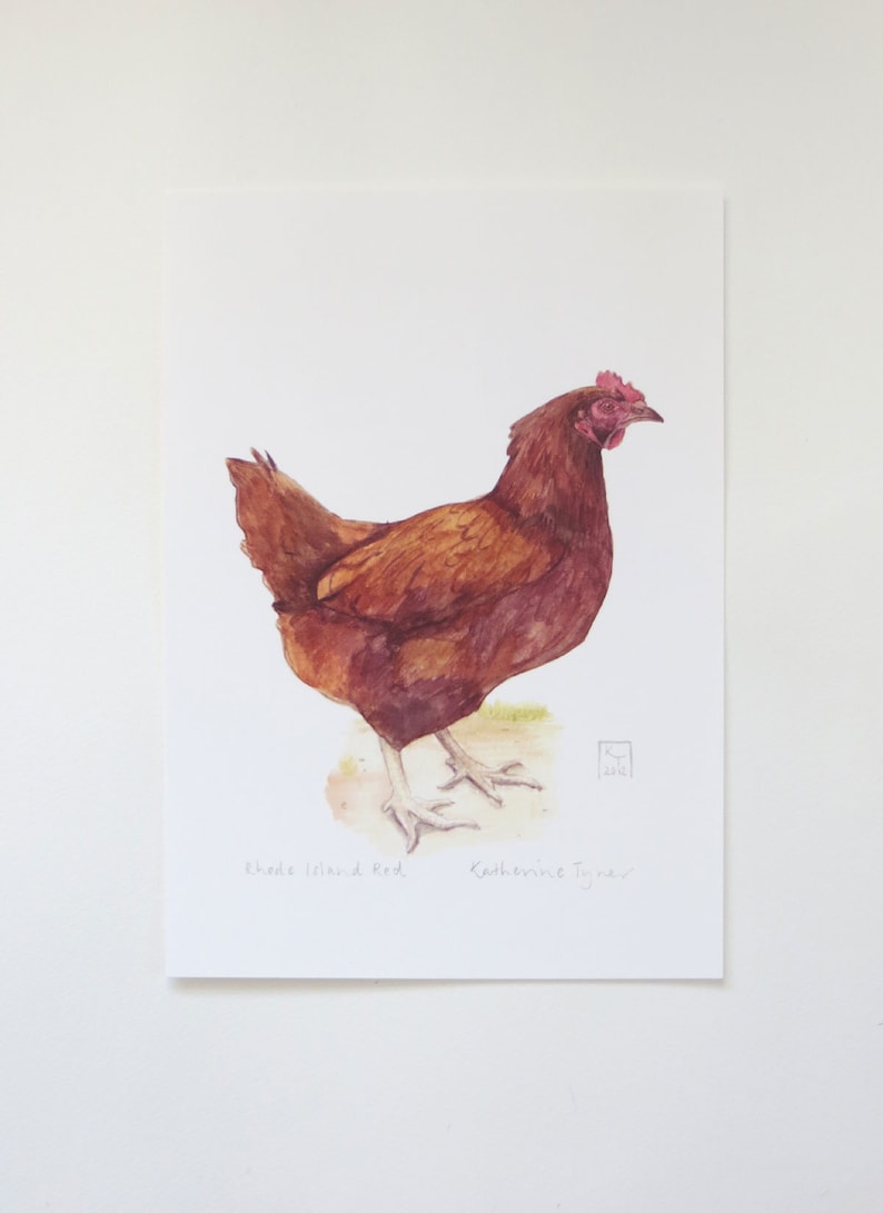 Chicken Fine Art Print Wall Art - Etsy