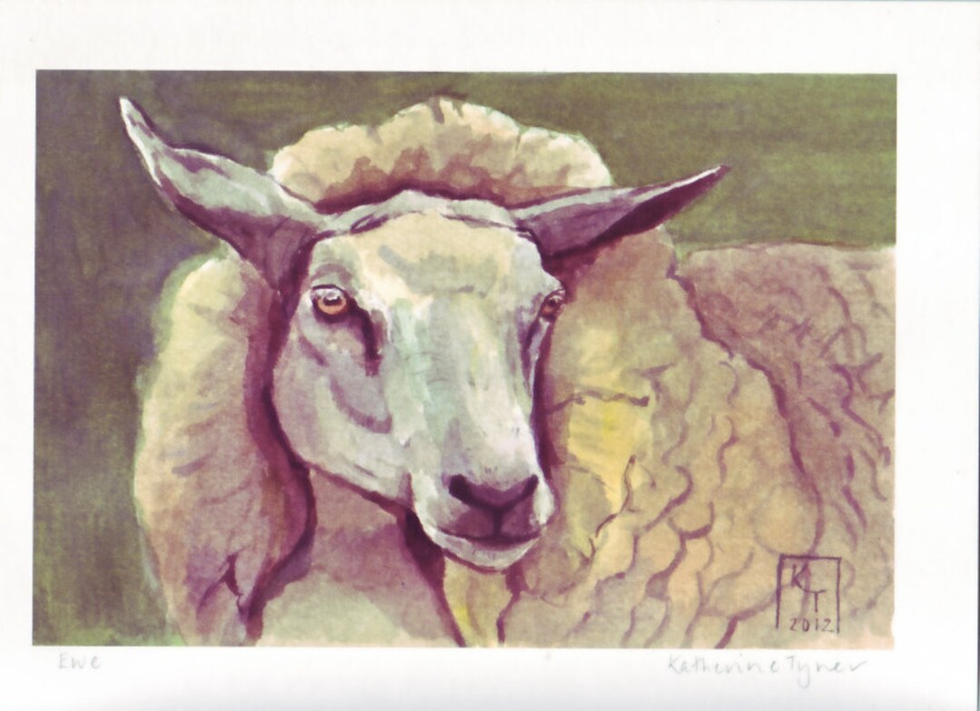 Fine Art Farm Animal Print of a Romney Sheep From Original Watercolour ...