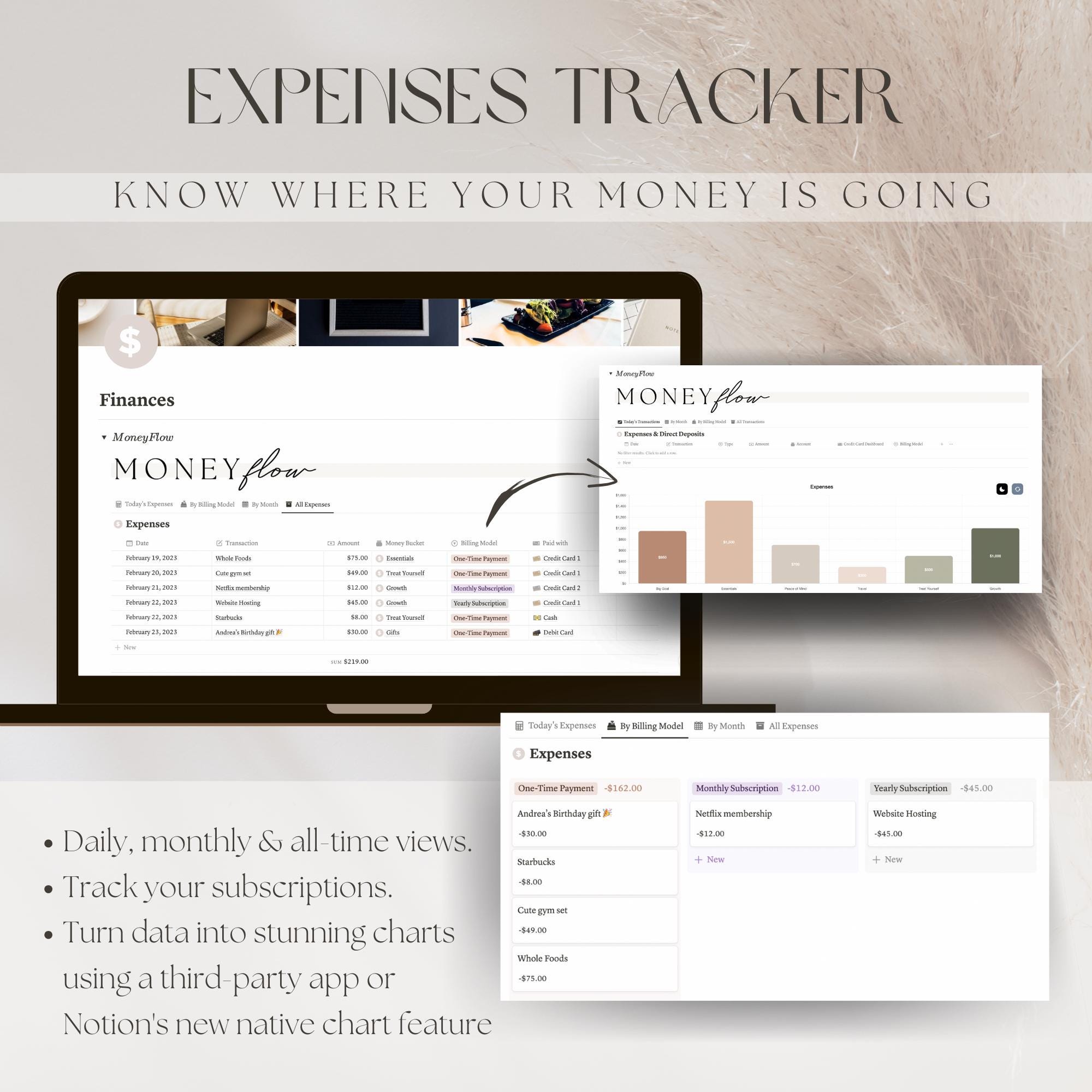 Aesthetic Notion Template: Financial Planner With Bank Account, Goal ...