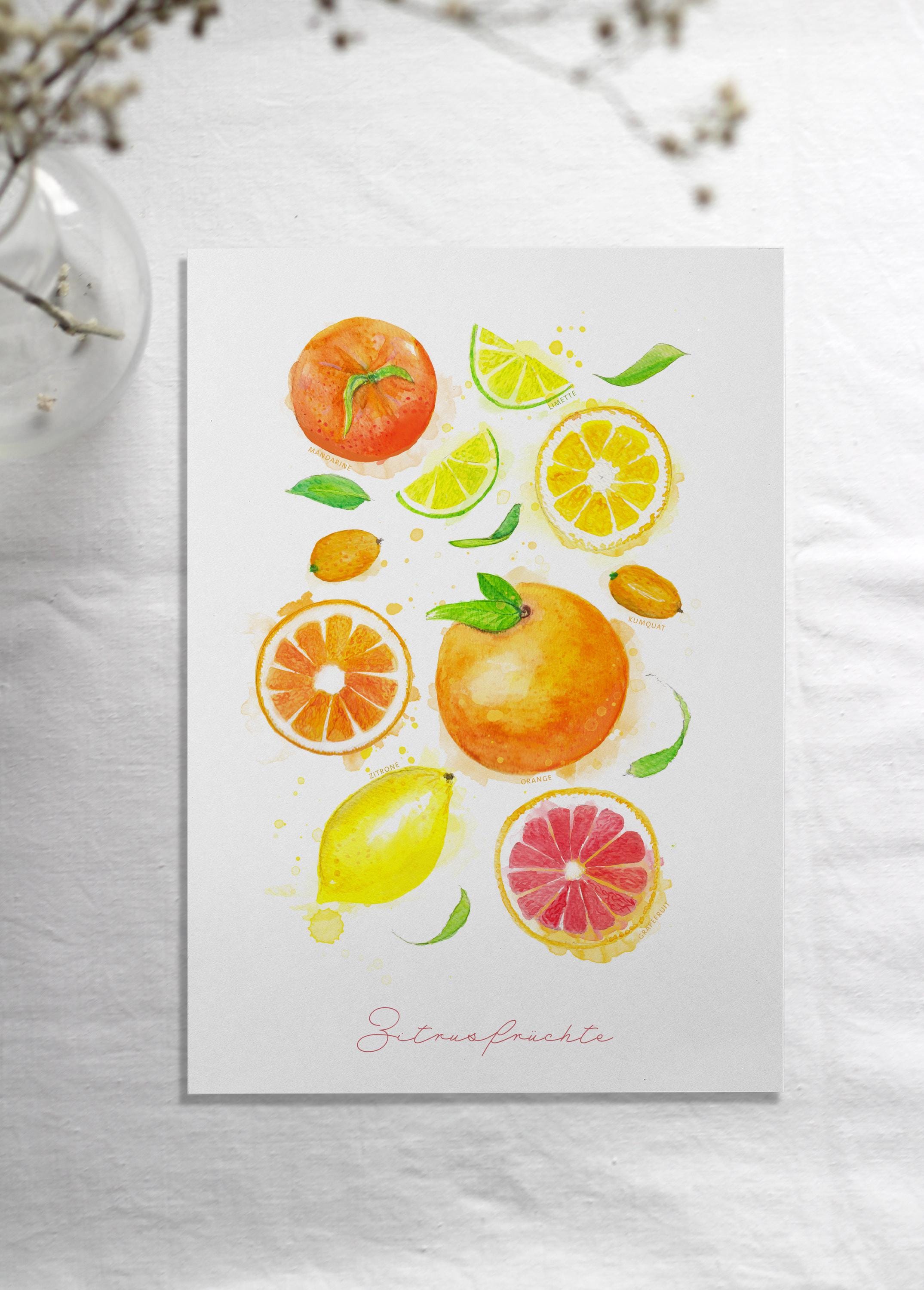 Wall Chart Citrus Fruits Art Print - Gift Idea - Various Sizes ...