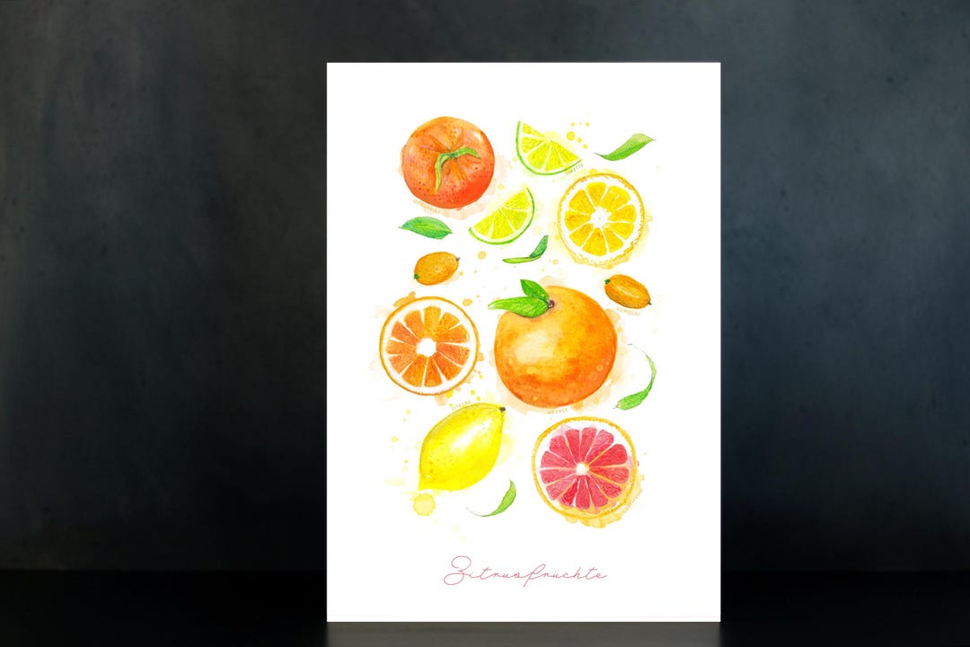 Wall Chart Citrus Fruits Art Print - Gift Idea - Various Sizes ...