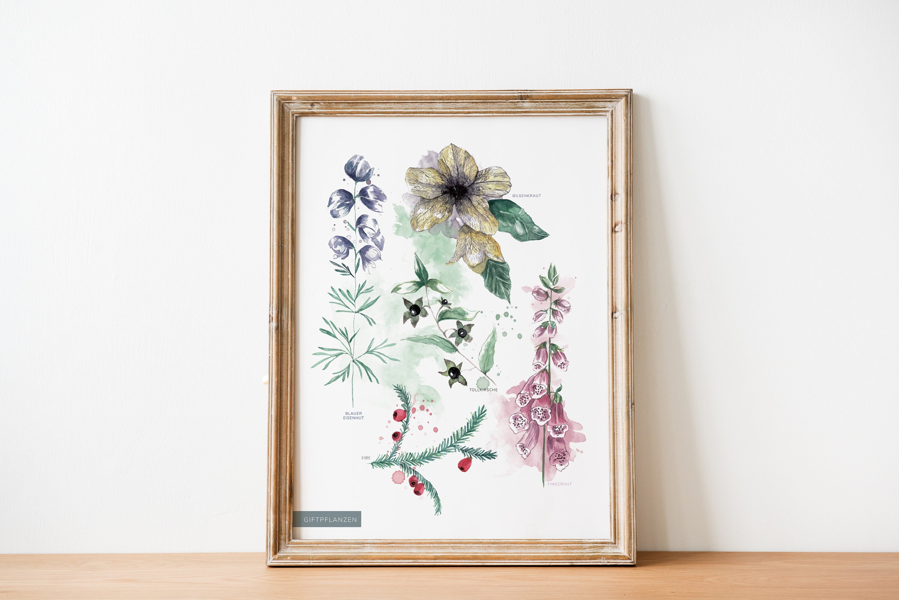 Chart of Poisonous Plants Poisonous Plants Poster, Educational Poster ...