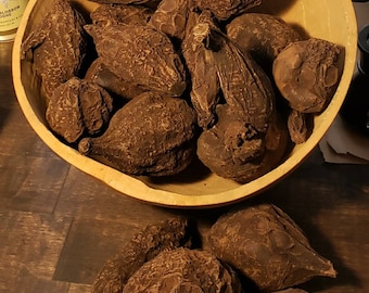 High John the Conqueror Root - Etsy