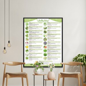 Healthy Herb Wall Art, Restaurant Wall Art, Kitchen Wall Art, Healing ...