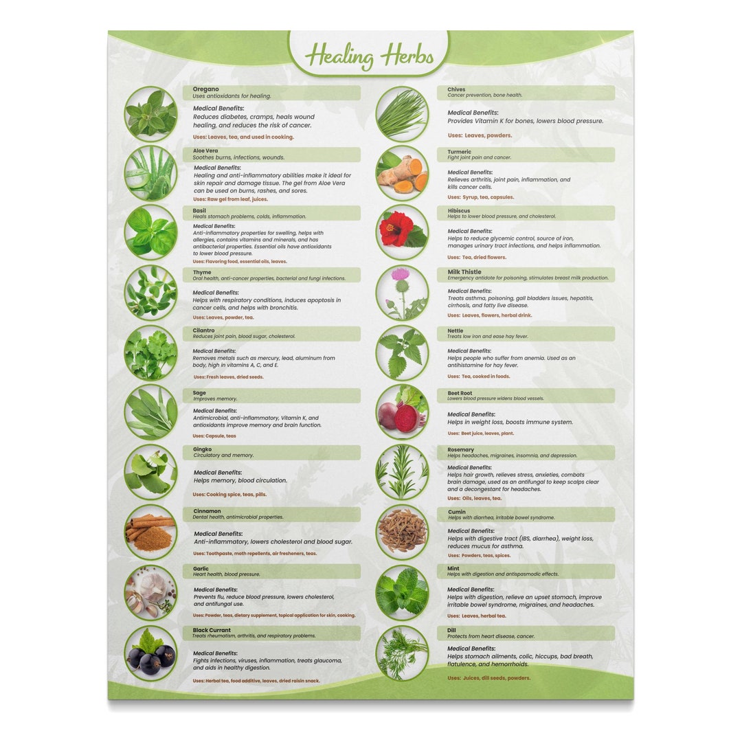 Healthy Herb Poster Wall Art, Restaurant Wall Art, Kitchen Wall Art ...