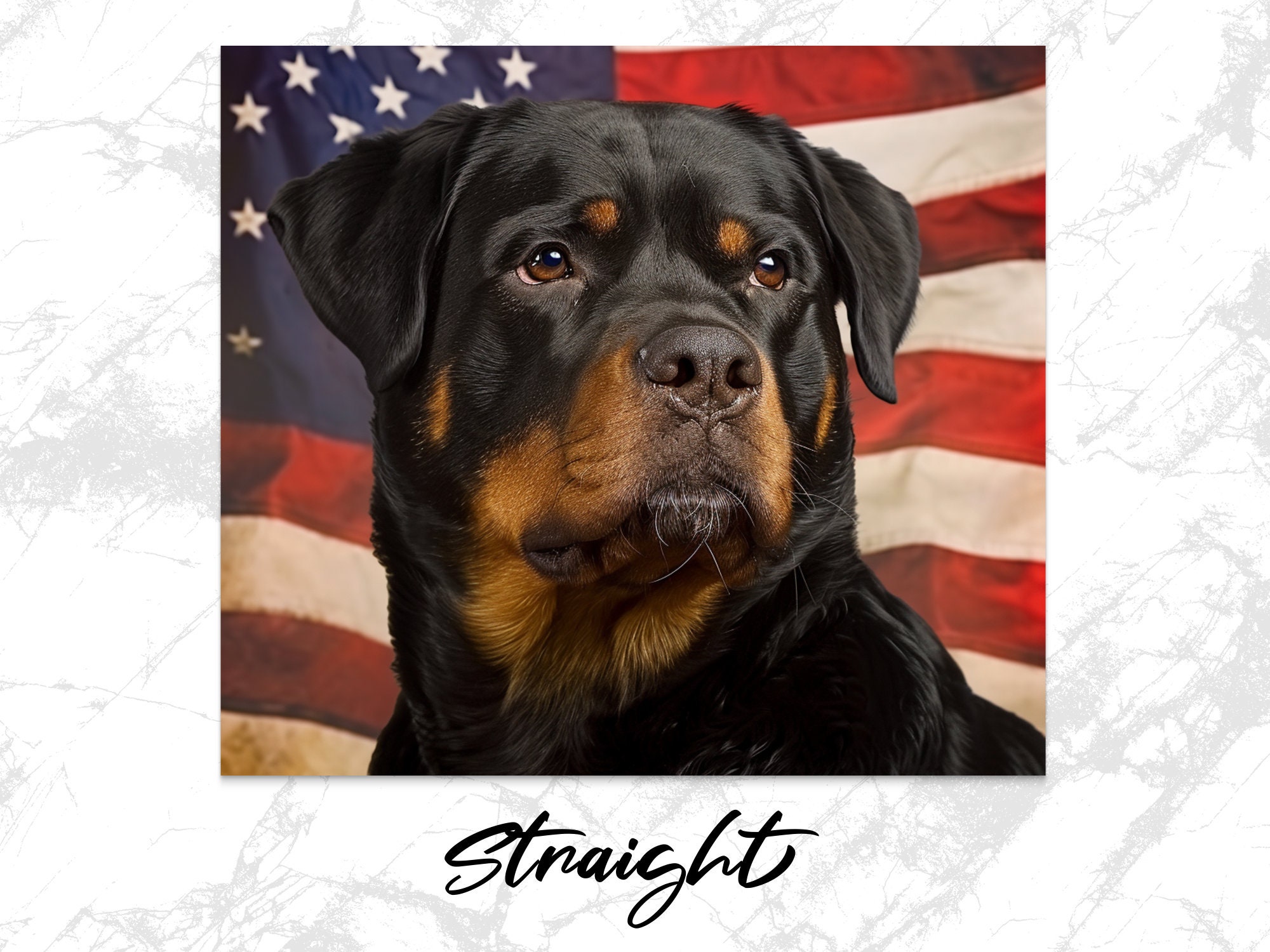 American Flag Rottweiler 20oz Sublimation Tumbler Design, Straight and ...