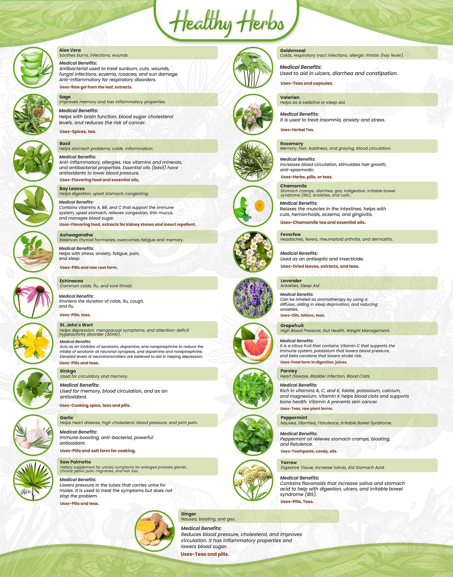 Healthy Herb Wall Art, Restaurant Wall Art, Kitchen Wall Art, Healing ...