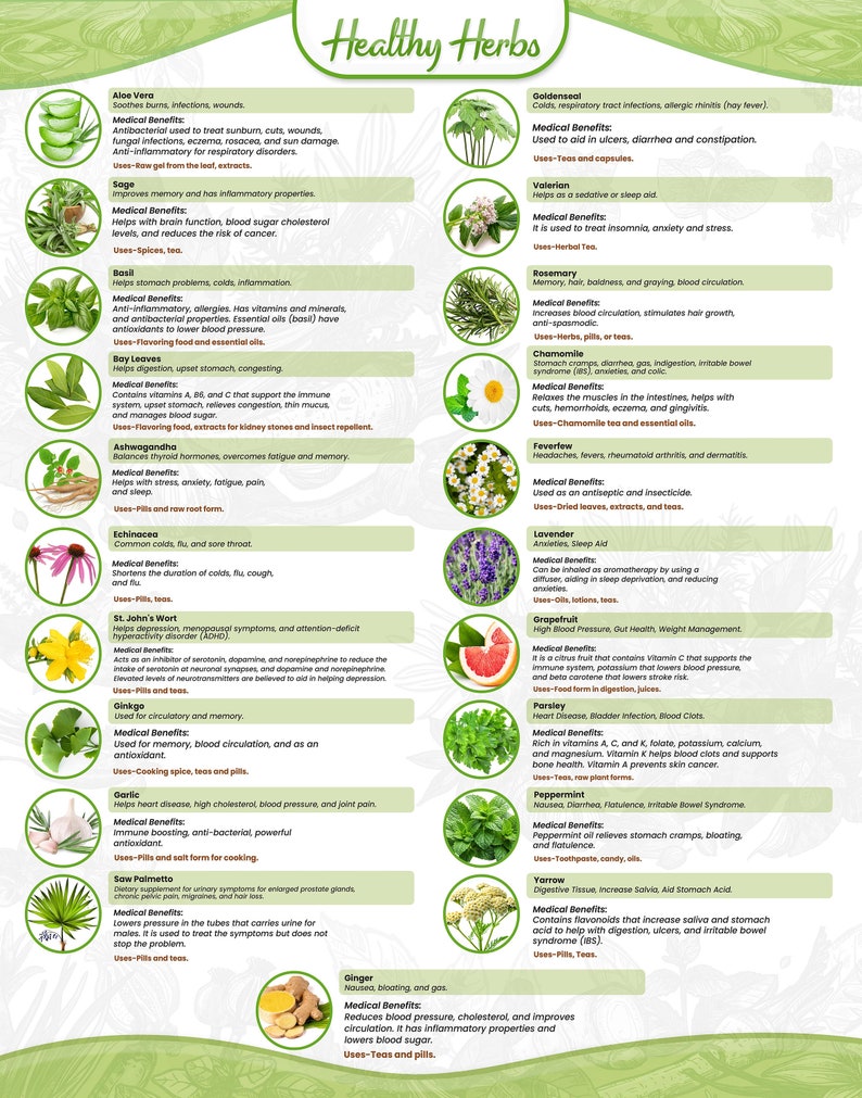 Healthy Herb Wall Art, Restaurant Wall Art, Kitchen Wall Art, Healing ...