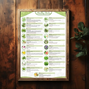 Healthy Herb Poster, Restaurant Wall Art, Kitchen Wall Art, Healing ...