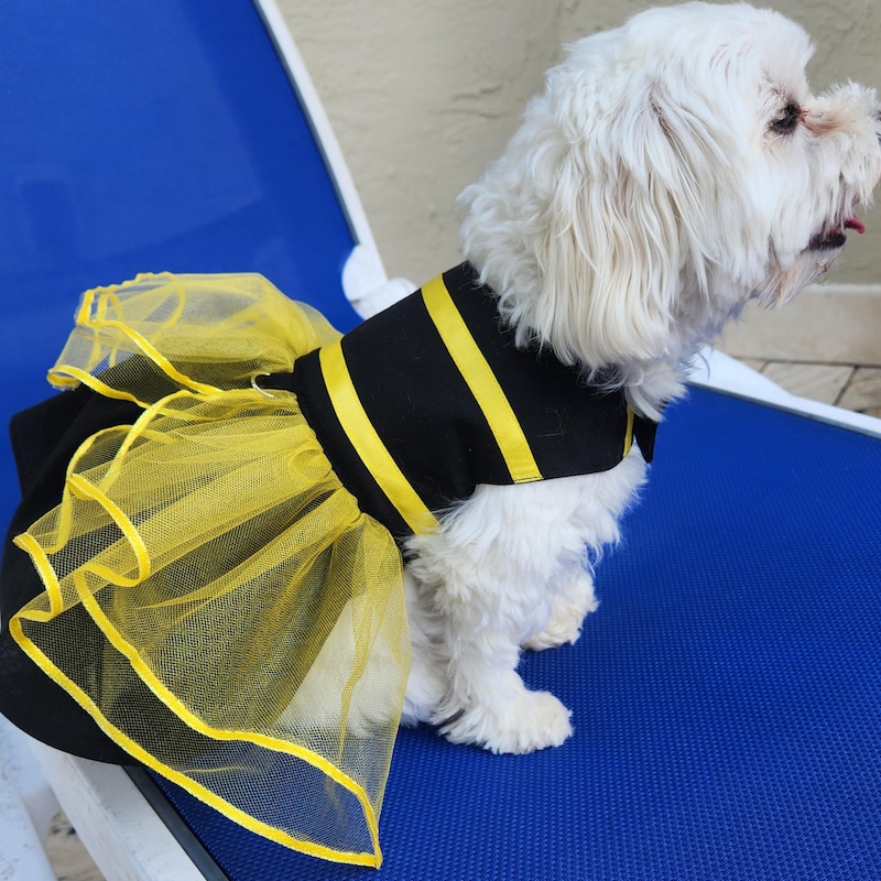 Dog Halloween Bee Costume - Etsy