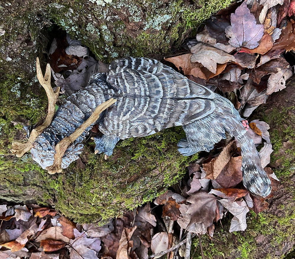 OOAK Fantasy Art Barred Owl Griffin Cryptid Sculpture Collectible - Etsy