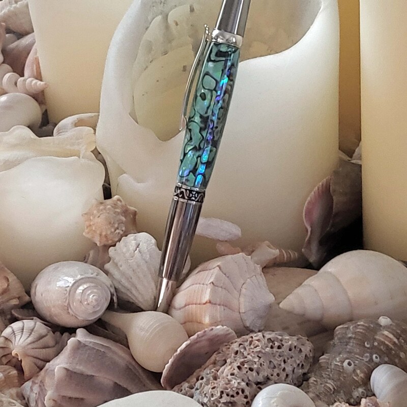 Pen Shells - Etsy