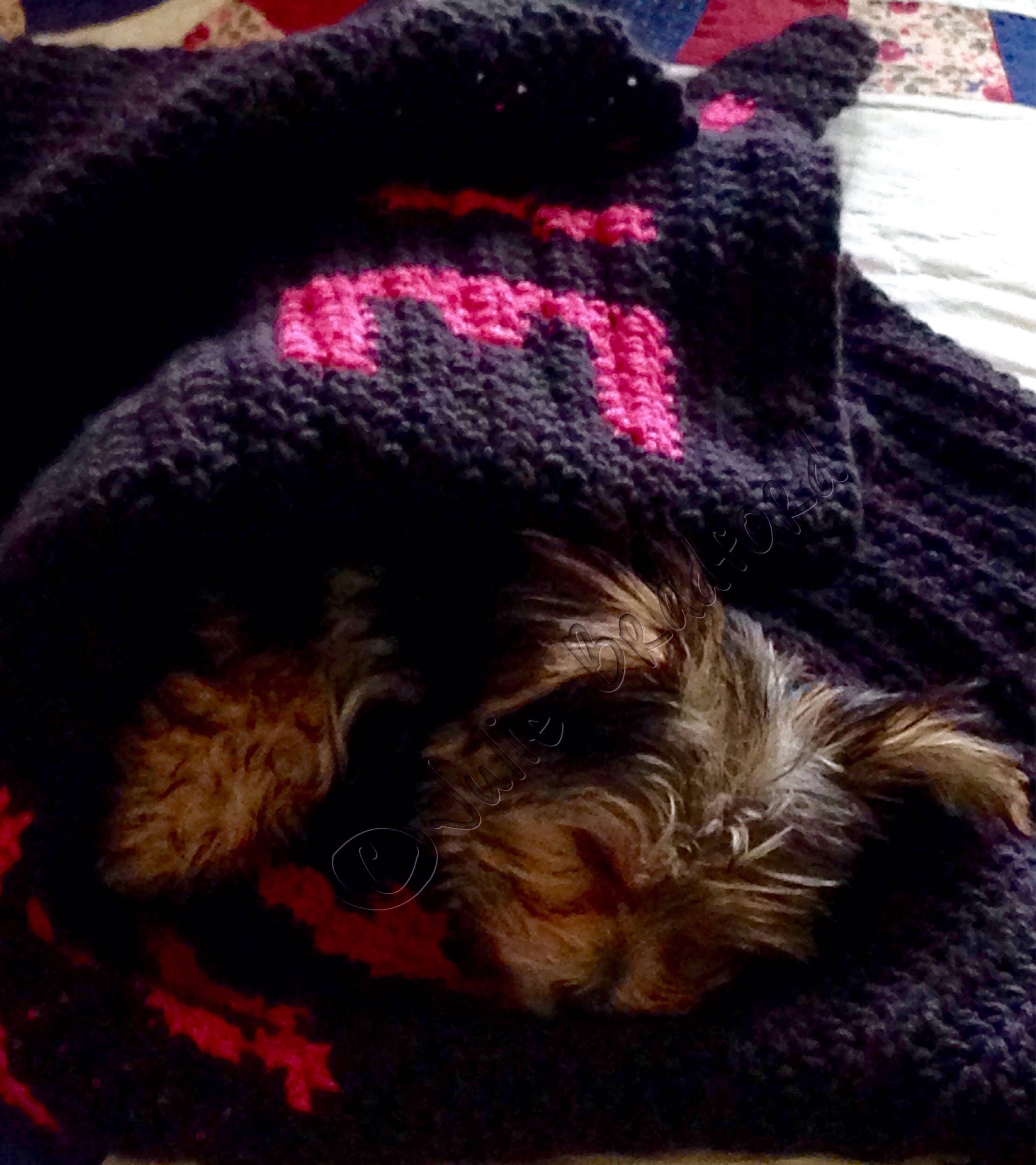 Live Love Bark Crochet Dog Throw Written Pattern, Puppy Blanket, Paw ...