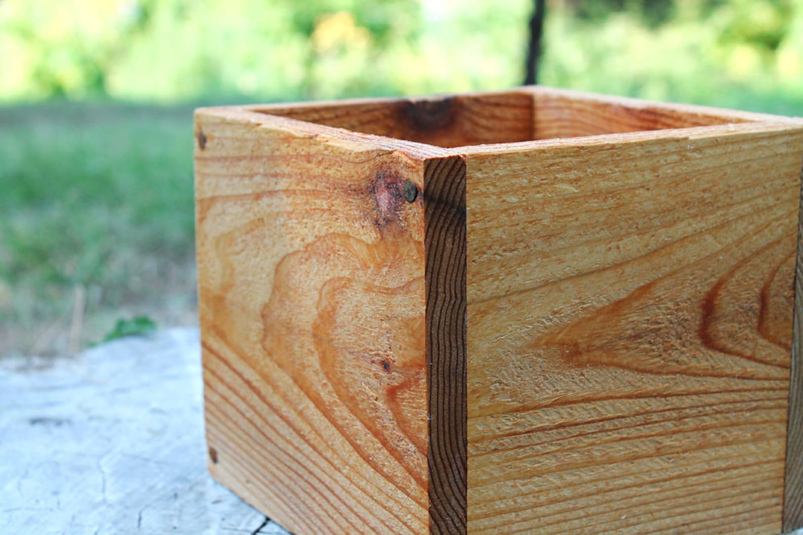 Square Succulent Planter Box 5 6 - Etsy