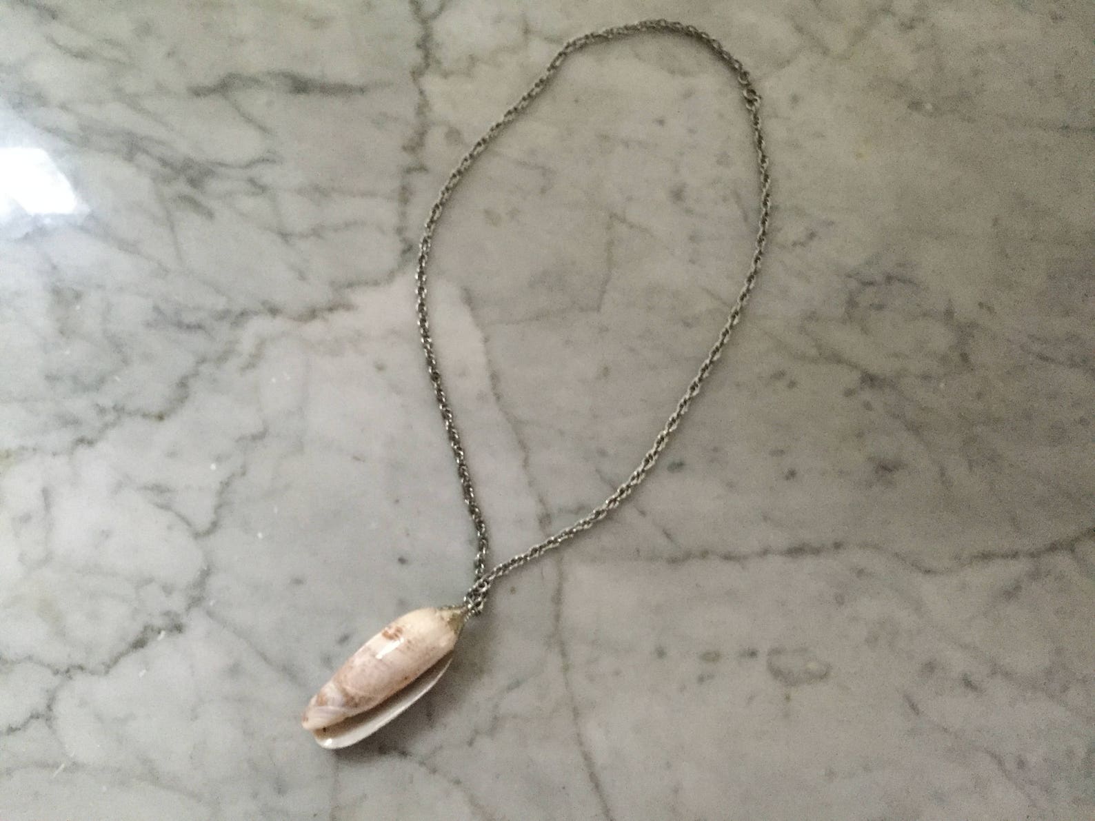 Shell Necklace Chain Necklace Silver Chain With Shell - Etsy