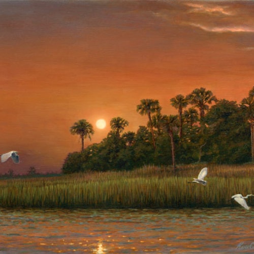 Lowcountry Morning by Carol Ann Curran Fine Art Print - Etsy
