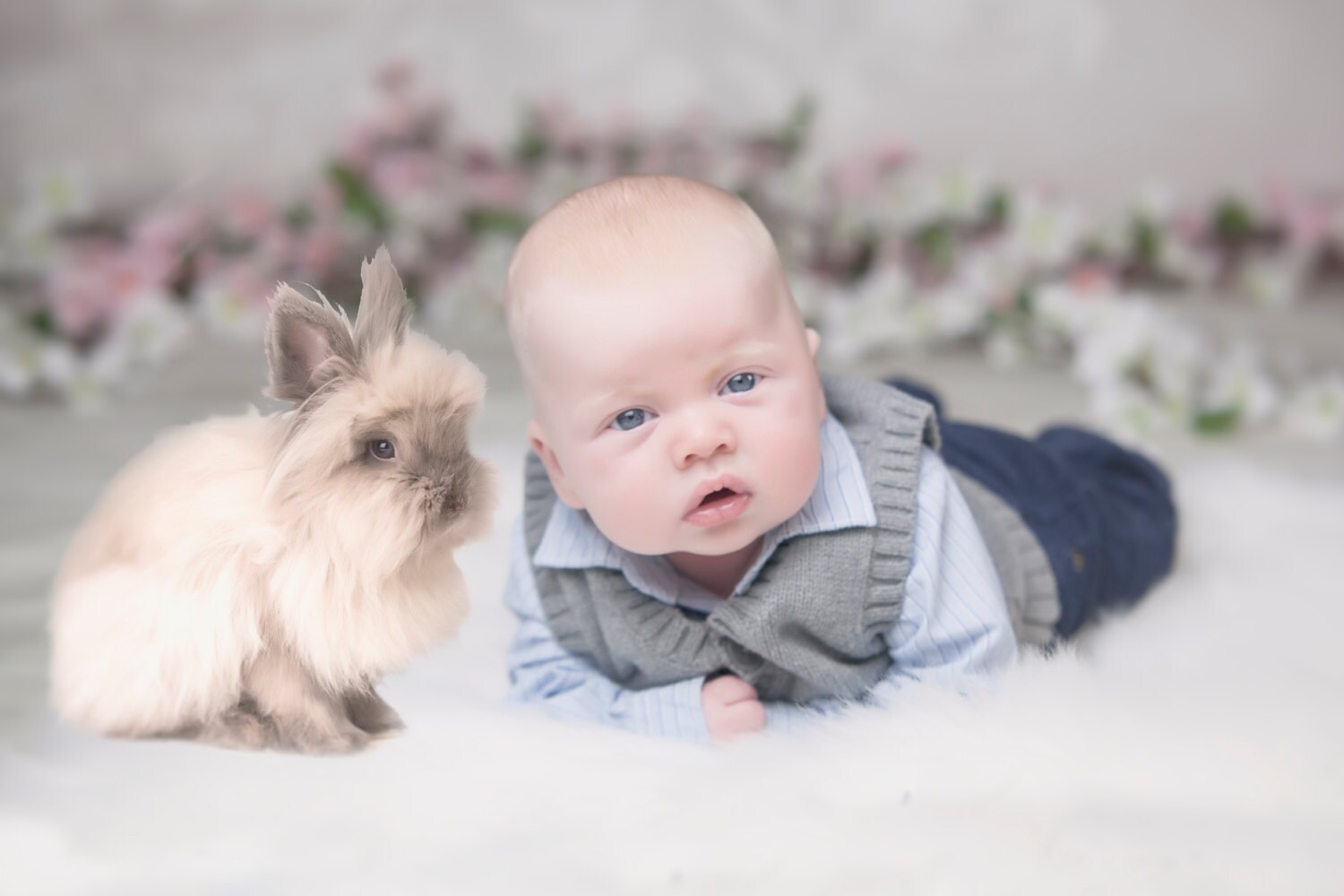 INSTANT DOWNLOAD Bunny Rabbit Overlay Lion Head Bunnies - Etsy