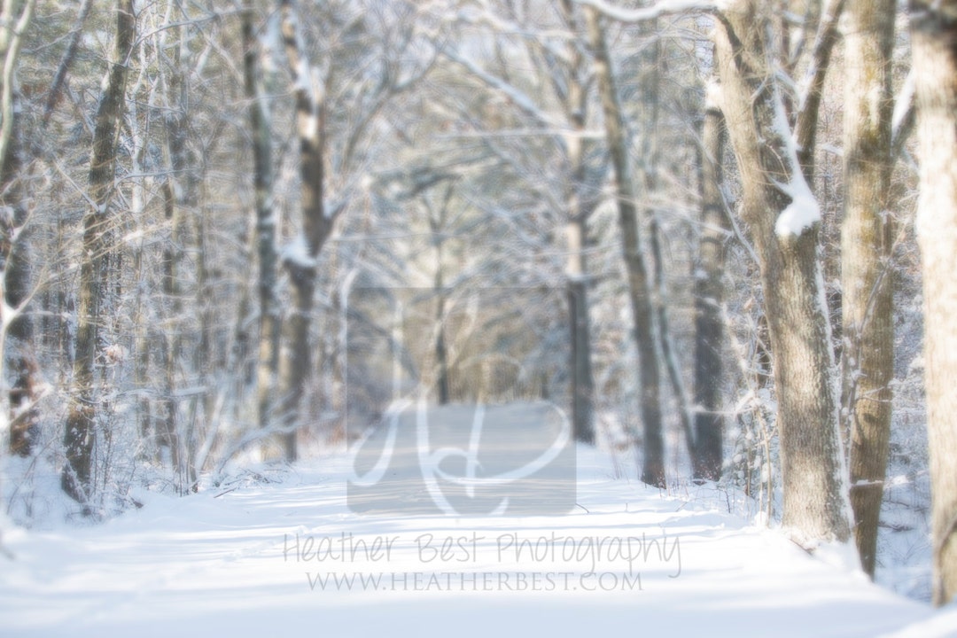 Snowy Road Landscape Digital Background - Etsy