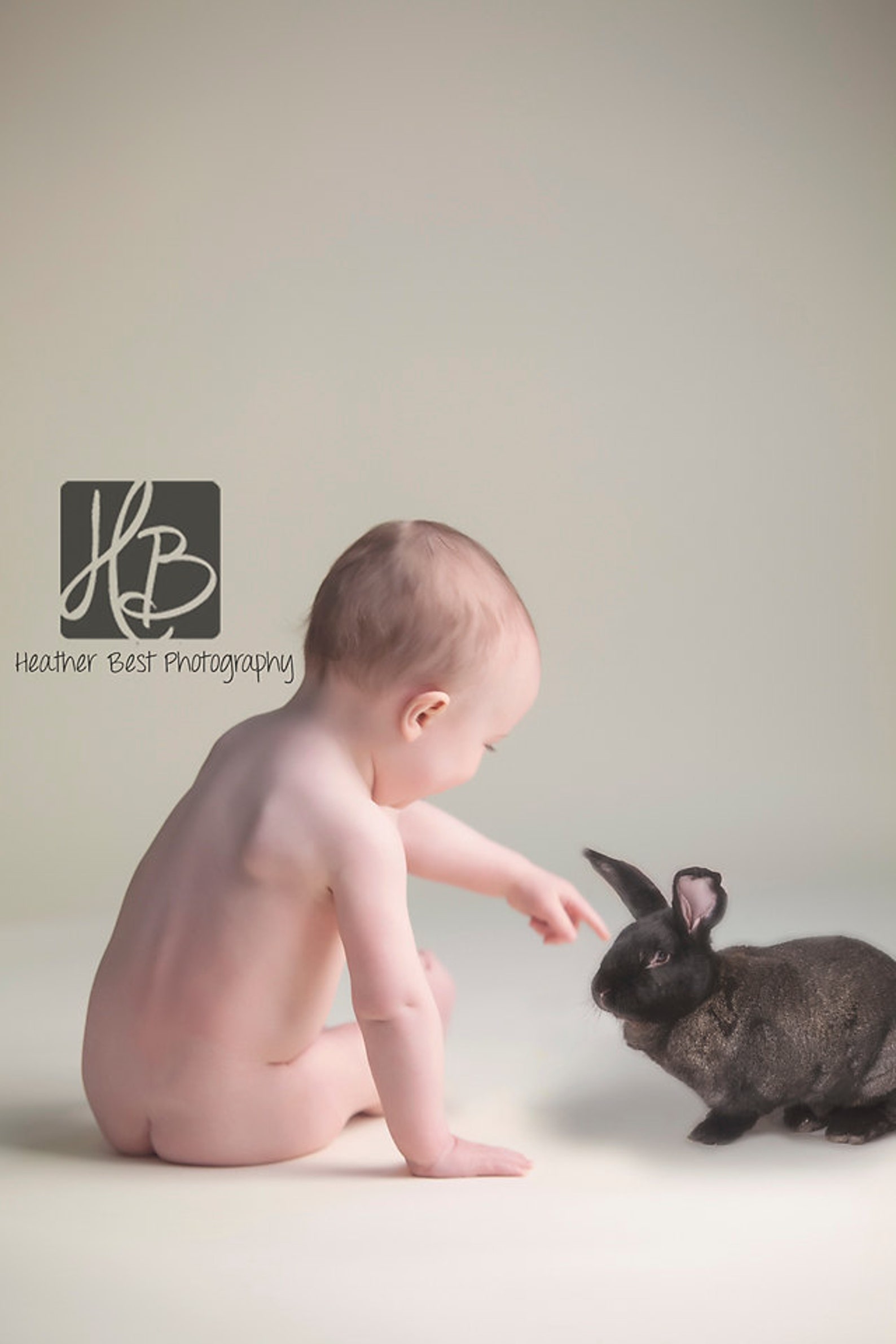 INSTANT DOWNLOAD Bunny Rabbit Overlay - Etsy