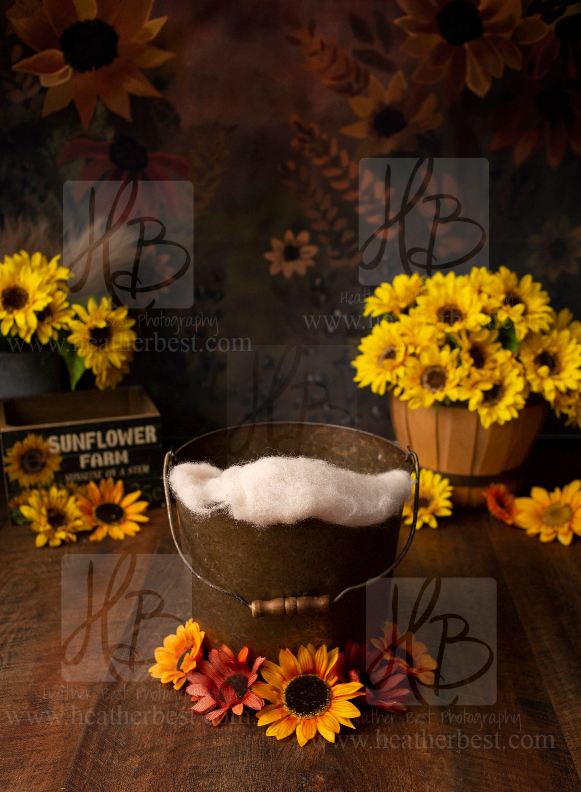 Sunflower Bucket Pose Newborn Digital Background - Etsy