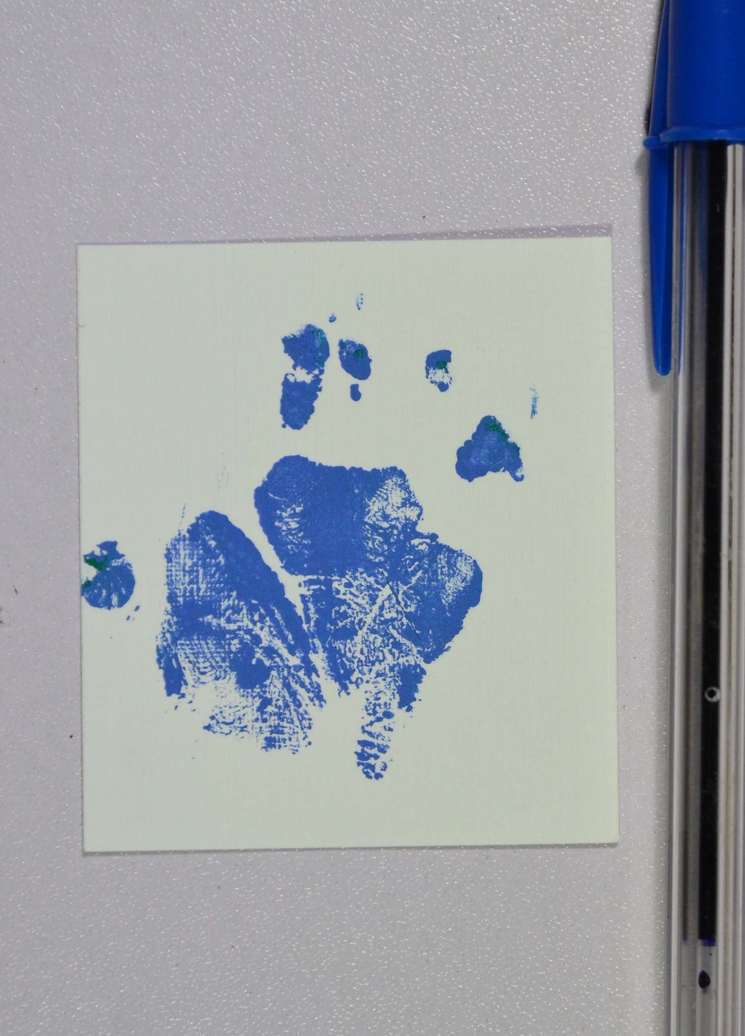 Opossum Rear Paw Prints - Etsy