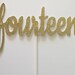 Fourteen Cake Topper, 14th Birthday Cake Topper, 14th Cake Topper, 14 ...