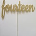 Fourteen Cake Topper, 14th Birthday Cake Topper, 14th Cake Topper, 14 ...