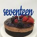 Seventeen Cake Topper 17th Birthday Cake Topper 17th Cake - Etsy