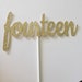 Fourteen Cake Topper, 14th Birthday Cake Topper, 14th Cake Topper, 14 ...