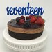 Seventeen Cake Topper 17th Birthday Cake Topper 17th Cake - Etsy